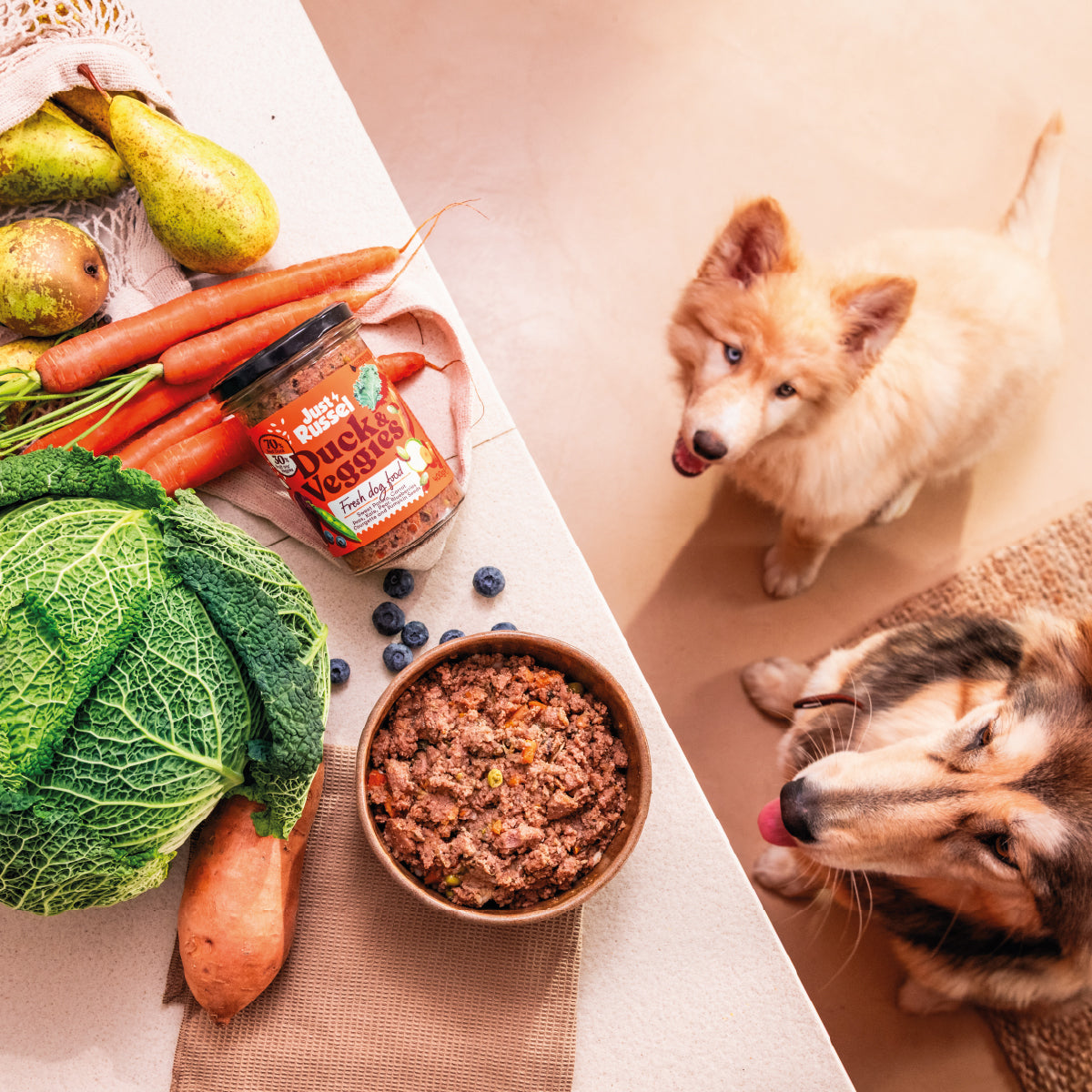 Verse hondenvoeding - Eend & Veggies – Just Russel Shop